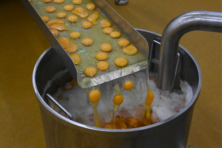 Sustainability is delivered through our highly innovative Net Zero ...