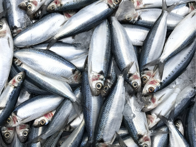 A Cornish family business established in 1979