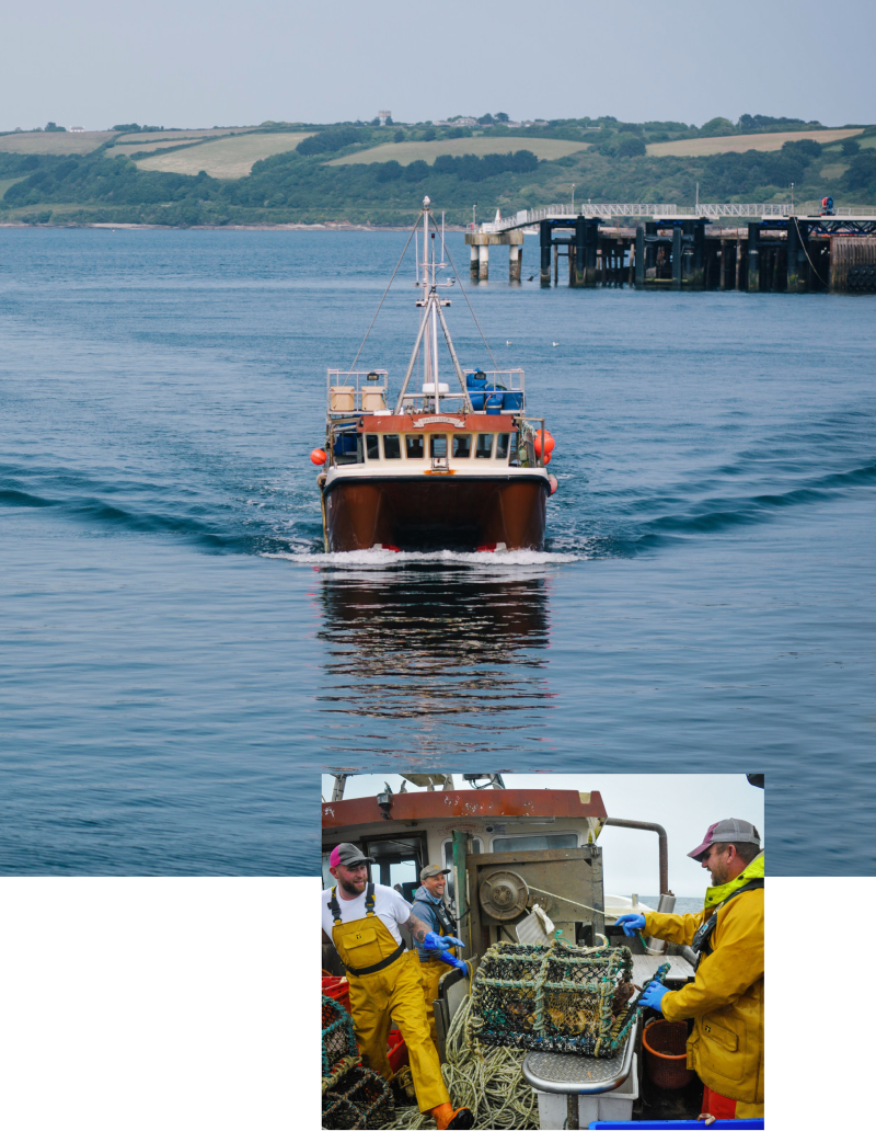 A Cornish family business established in 1979